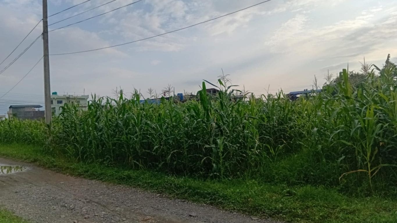 Residential & Commercial Land for Sale – 10 Dhur Plot at 28 Bigha Tole ...